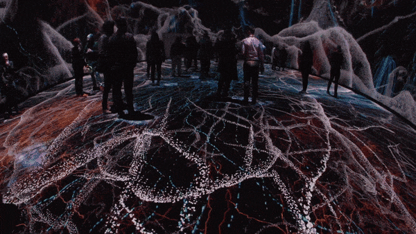 “Invisible Worlds:” Inside the Immersive Museum Experience | Jennifer Wolfe